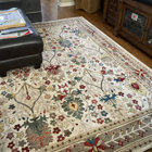 Bungalow Rose Hasrat Performance Navy/Khaki Rug & Reviews | Wayfair