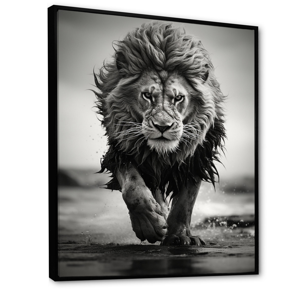 Latitude Run® Lyse Black And White Lion Running In Africa Framed On ...