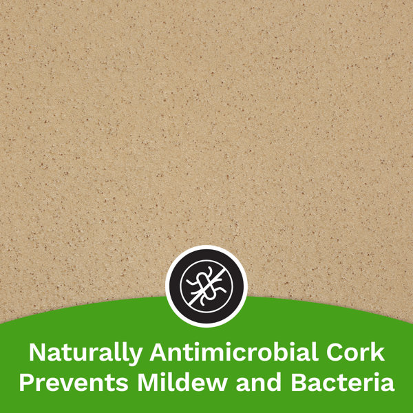 Eco Cork Foam Cork Underlayment Roll (300 sq.ft./roll) & Reviews | Wayfair