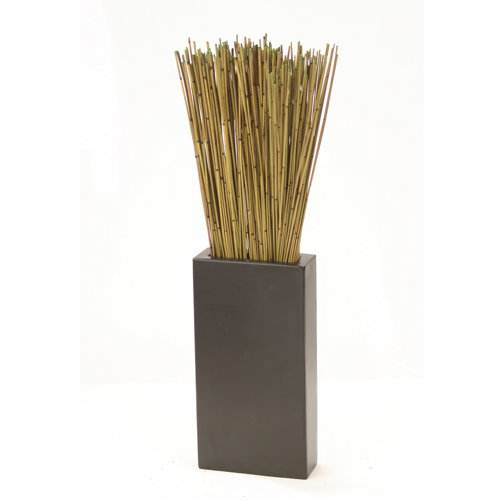 Primrue 23'' Reed Plant in Metal Decorative Vase | Wayfair