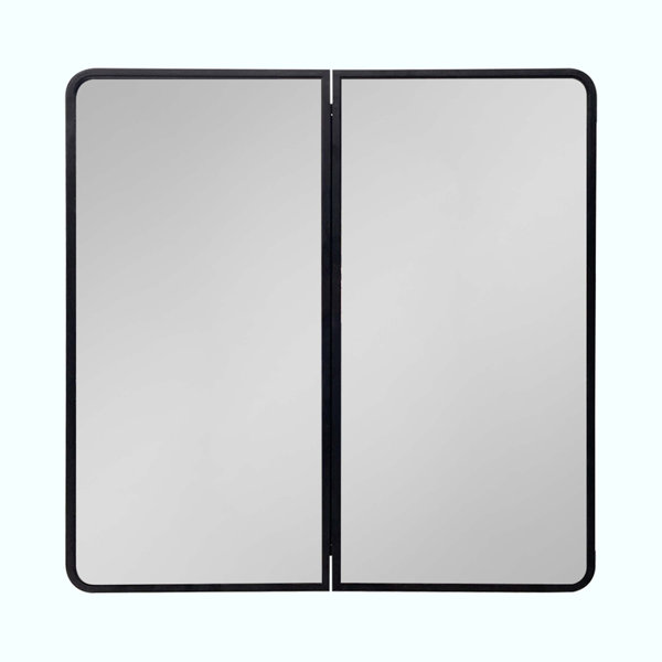 Latitude Run® Tiearra 32'' W 32'' H Medicine Cabinet Mirror - Wayfair ...