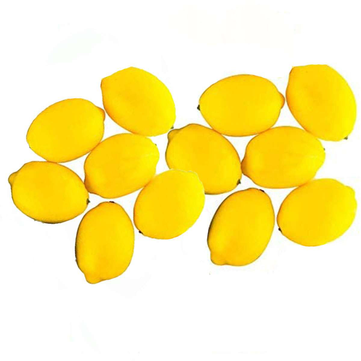 Primrue 12PCS Artificial Lemons Big Size Vivid Faux Lemon for ...