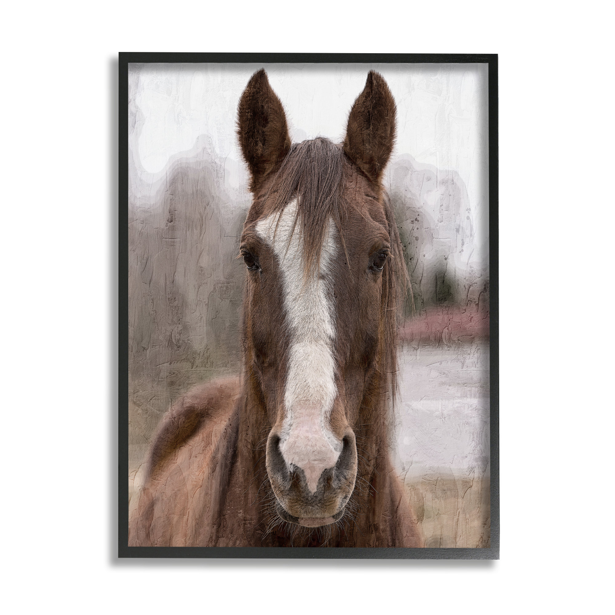 Stupell Industries Az-019-Framed Colt Horse Portrait On Canvas by Kim ...