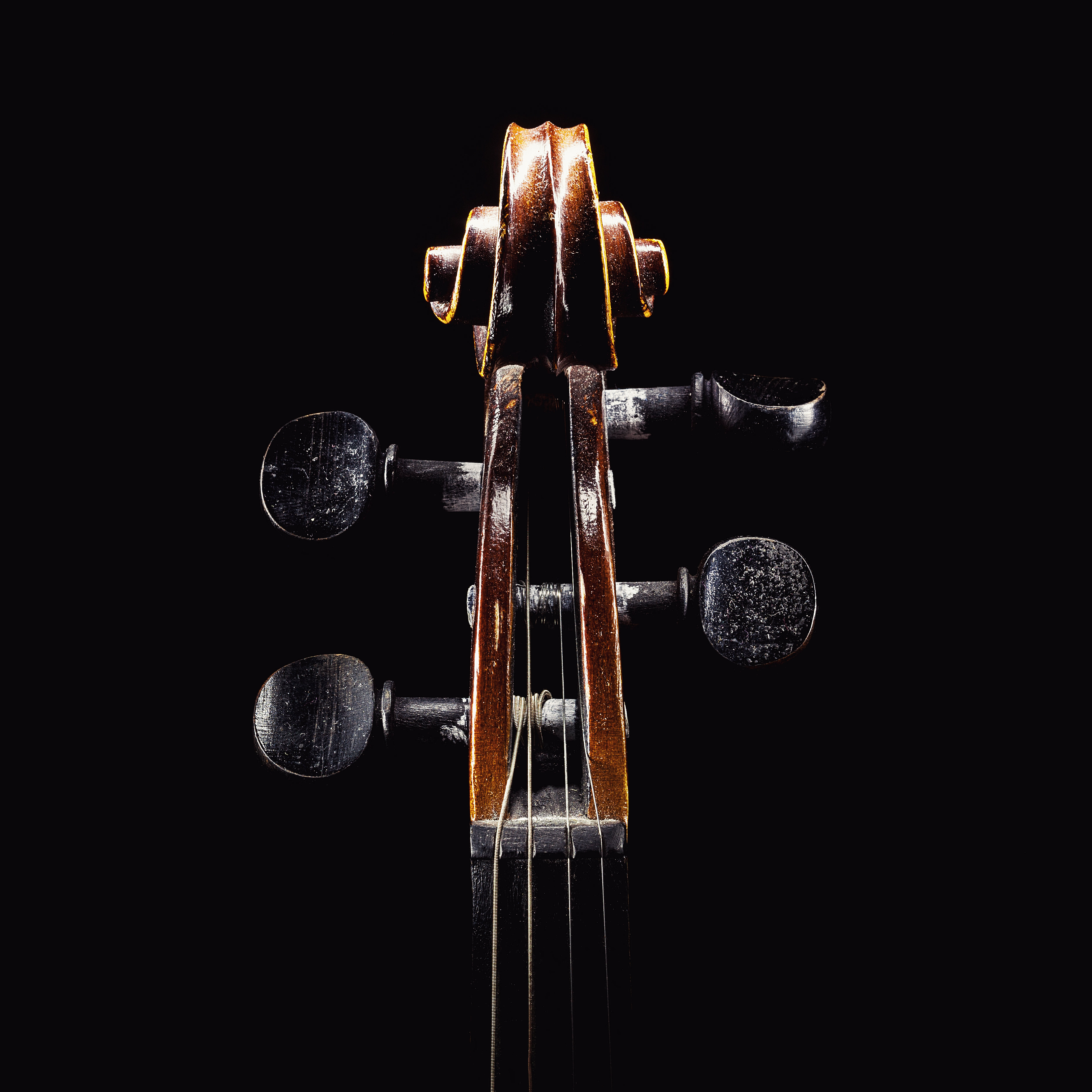 Ebern Designs Mattair Violin Head Details by Dejankrsmanovic | Wayfair