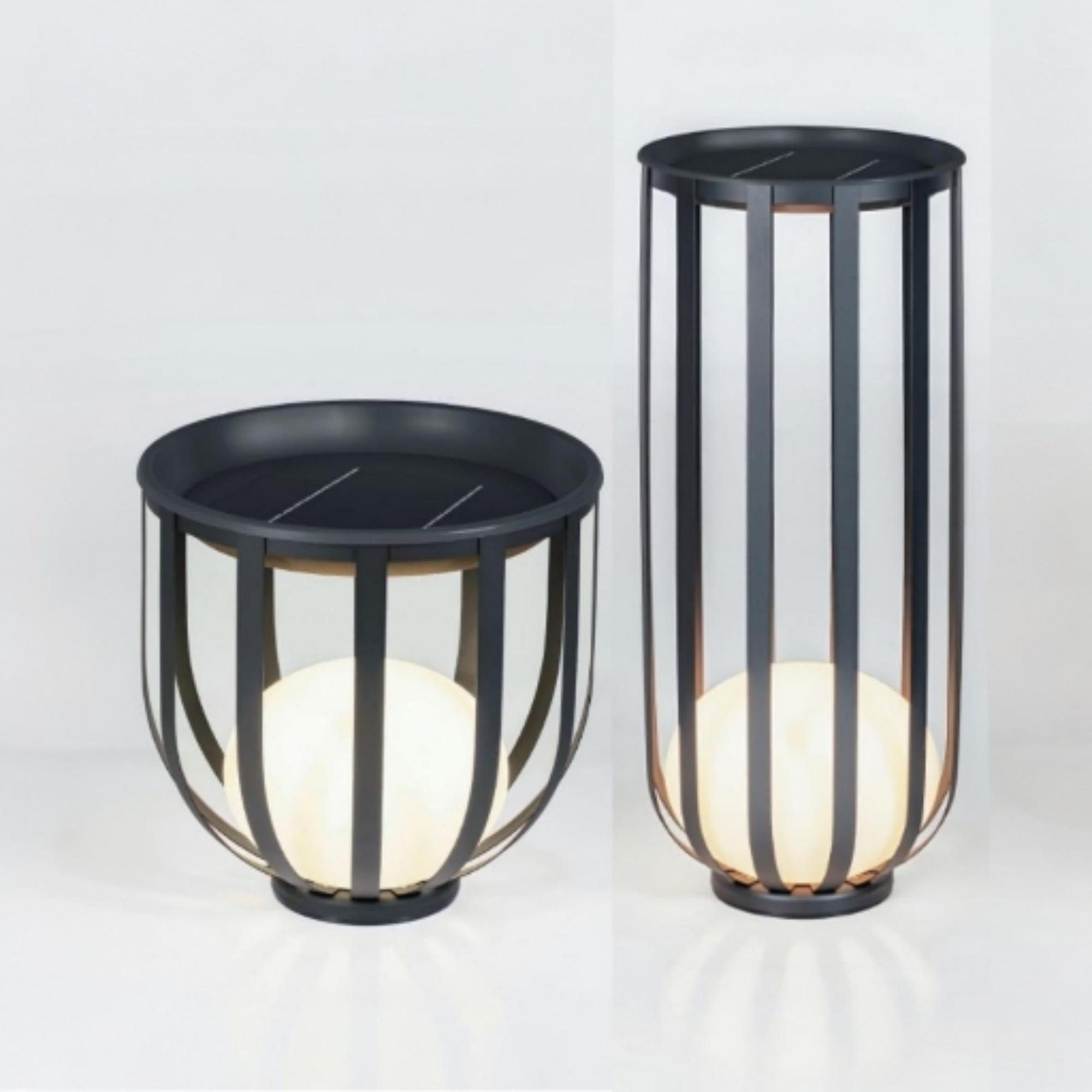 VIVZONE Solar Powered Outdoor Integrated LED Plant Stand Set | Wayfair