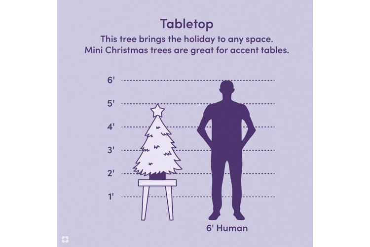 Your Guide to Christmas Tree Sizes | Wayfair