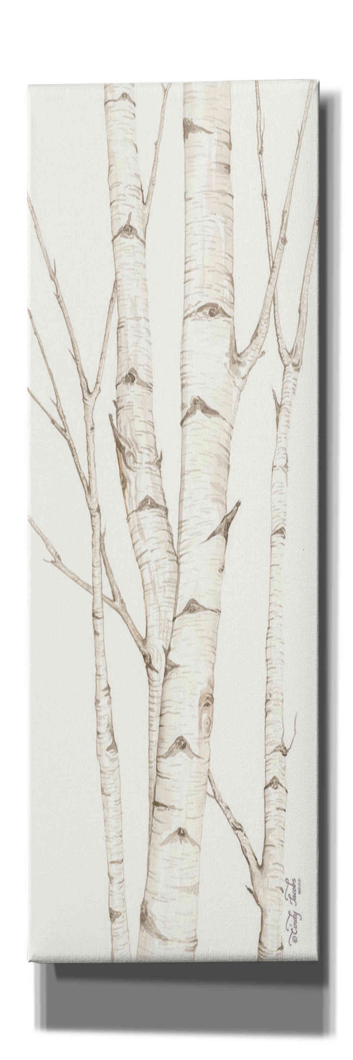 Red Barrel Studio® Birch Trees II by Cindy Jacobs - Wrapped Canvas ...