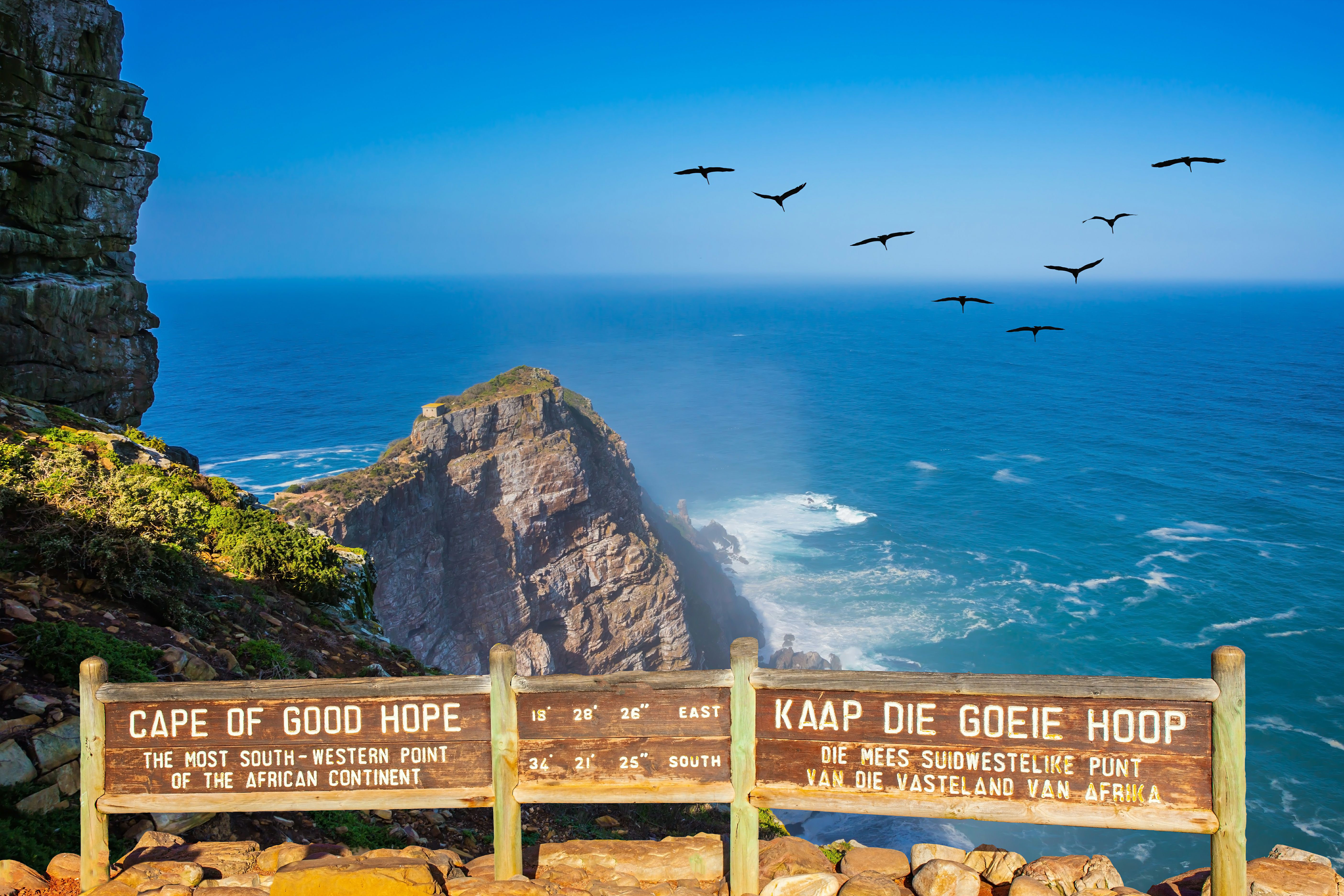 Highland Dunes Birds over Raging Surf - Wrapped Canvas Photograph | Wayfair