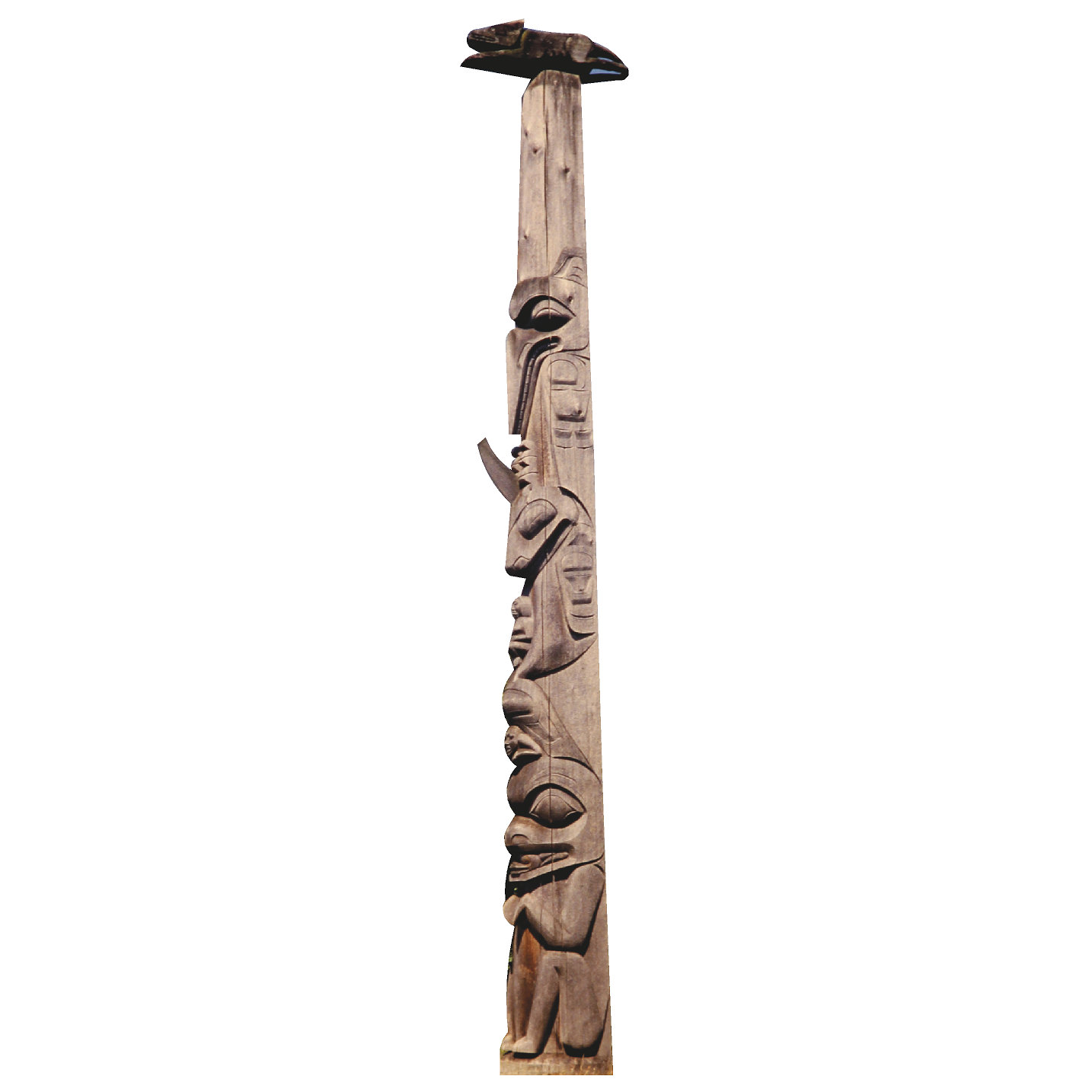 Wet Paint Printing Nanasimget And Whale Totem Pole Cardboard Cutout ...