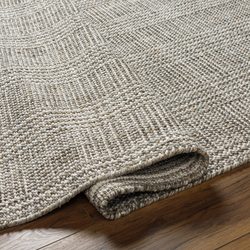 Gadi Hand Loomed Recycled P.E.T. Taupe/Light Brown Rug | Birch Lane