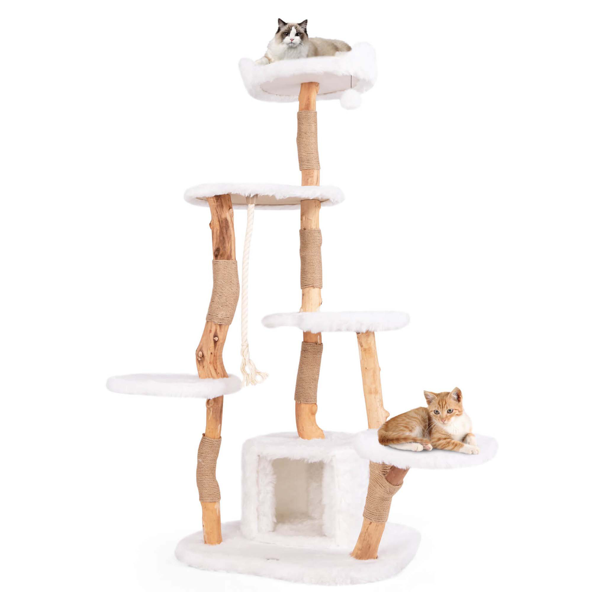 Tucker Murphy Pet™ 66" Tall Solid Wood Cat Tree With Perch Condo Jute ...