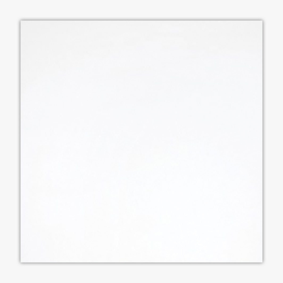 Direct Stone Source 18" x 18" Marble Wall & Floor Tile | Perigold