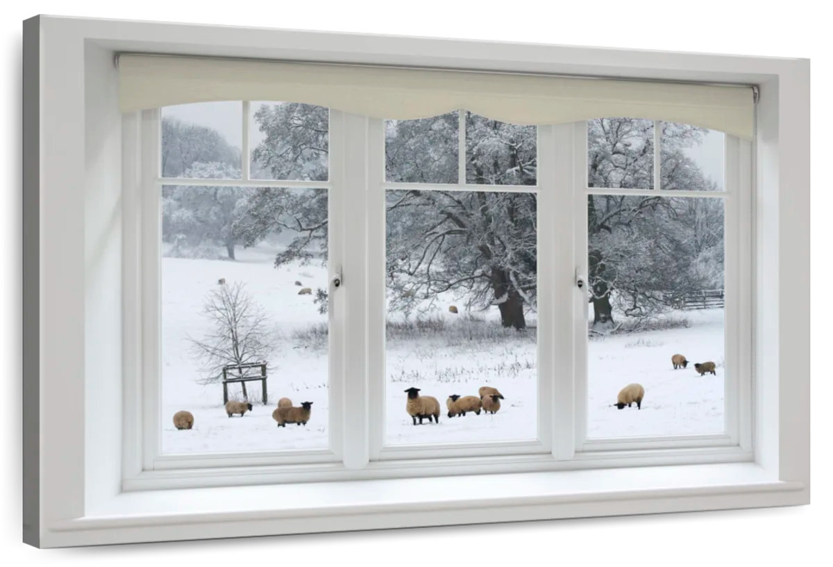 Elephant Stock Winter Sheep Window View | Wayfair