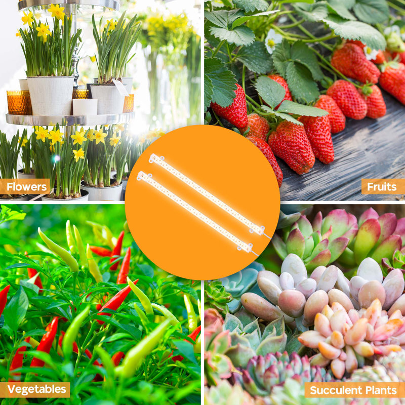 Arlmont & Co. Braely LED Grow Light & Reviews | Wayfair