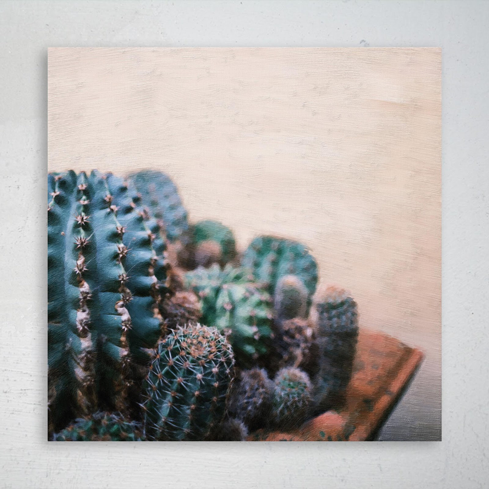 Foundry Select A Corner Of Some Cacti In A Pot - 1 Piece Square Graphic ...