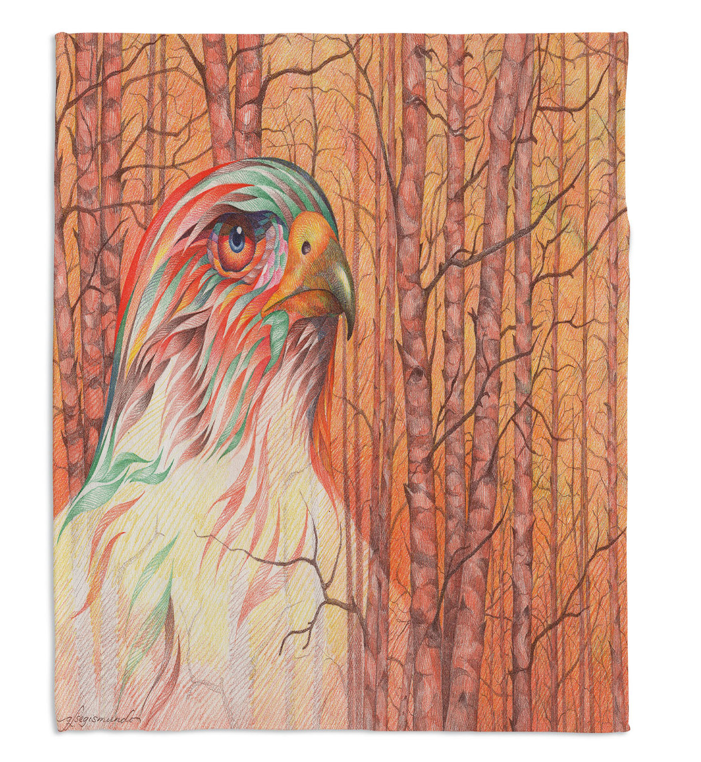 DiaNoche Designs Raptor All Psyched Up Soft Sherpa Blanket | Wayfair