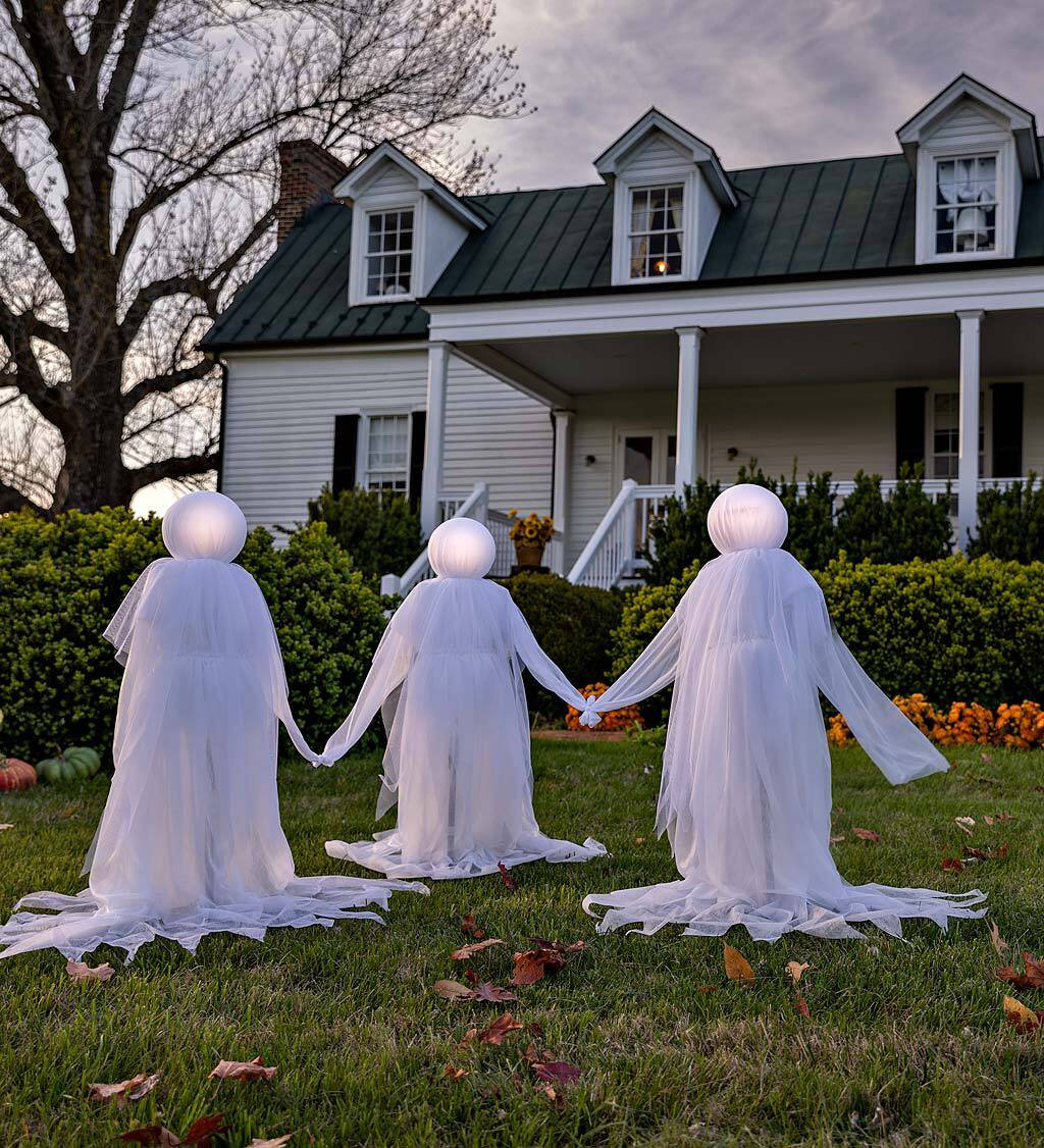 Plow & Hearth 3 Piece Halloween Phantom Ghost Garden Stake Set | Wayfair