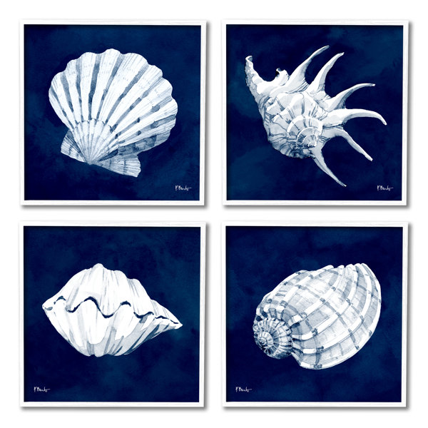 Rosecliff Heights Traditional Cyanotype Shells Framed On Wood 4 Pieces ...