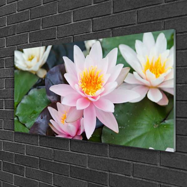 Brayden Studio Floral Flowers - Unframed Photograph on Glass | Wayfair ...