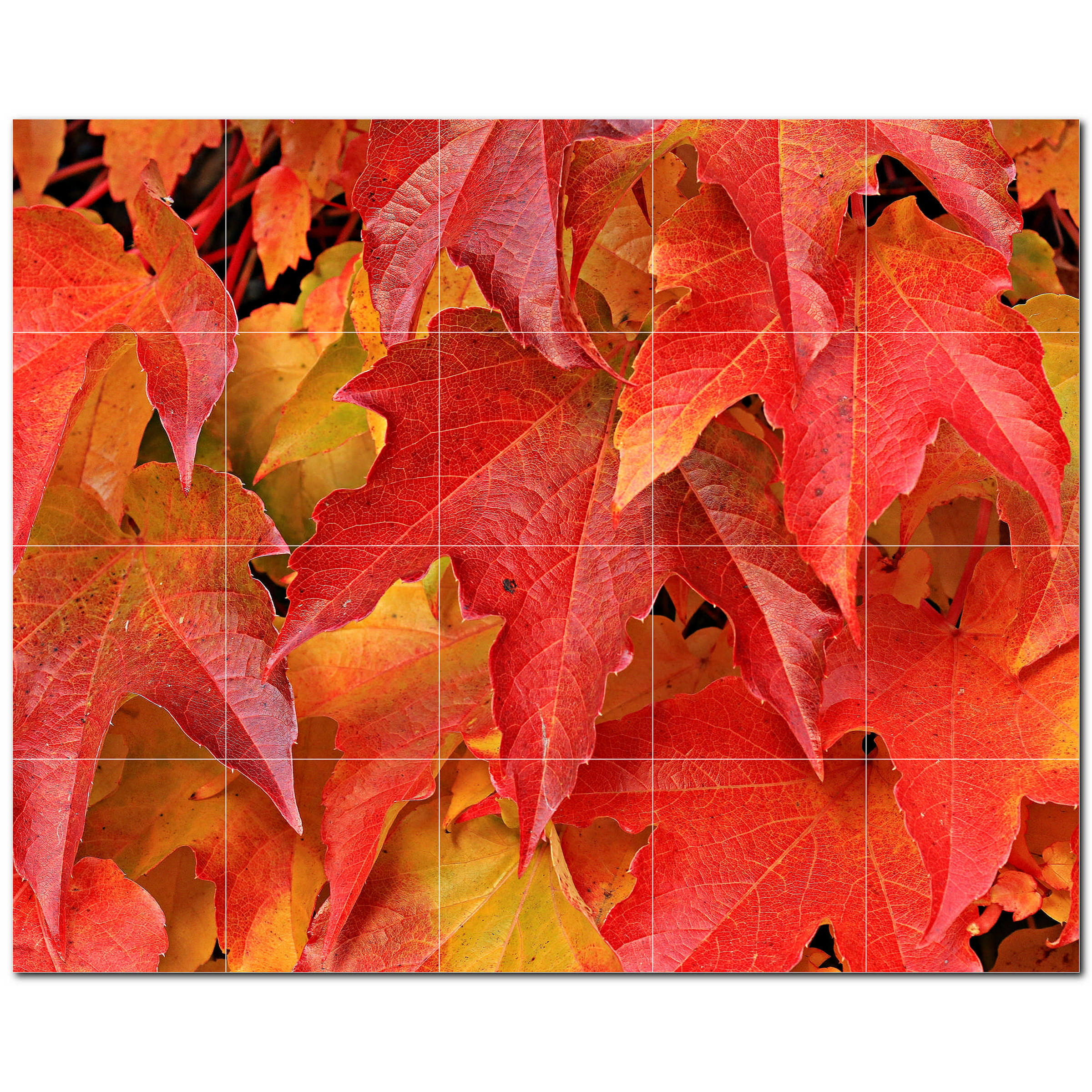 Picture-Tiles.com 30" x 24" Ceramic Autumn Photo Decorative Mural Tile ...