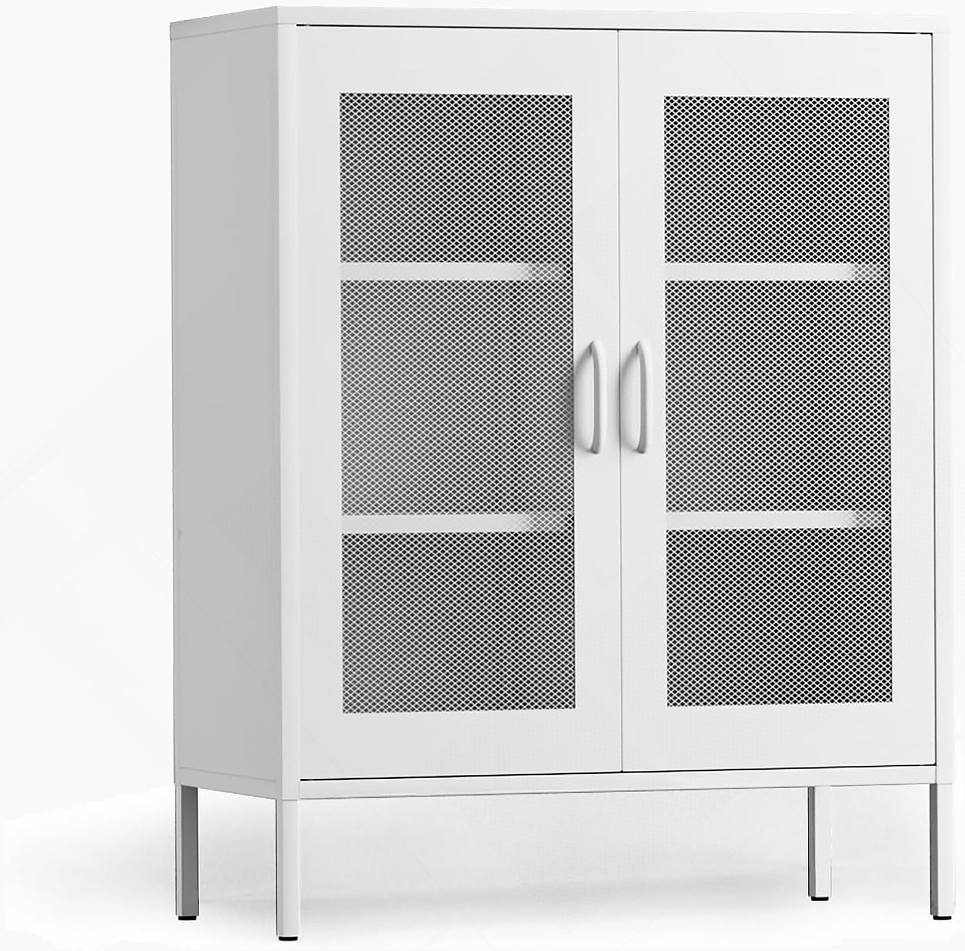 Ebern Designs Metal Storage Cabinet with Mesh Doors and Shelves ...