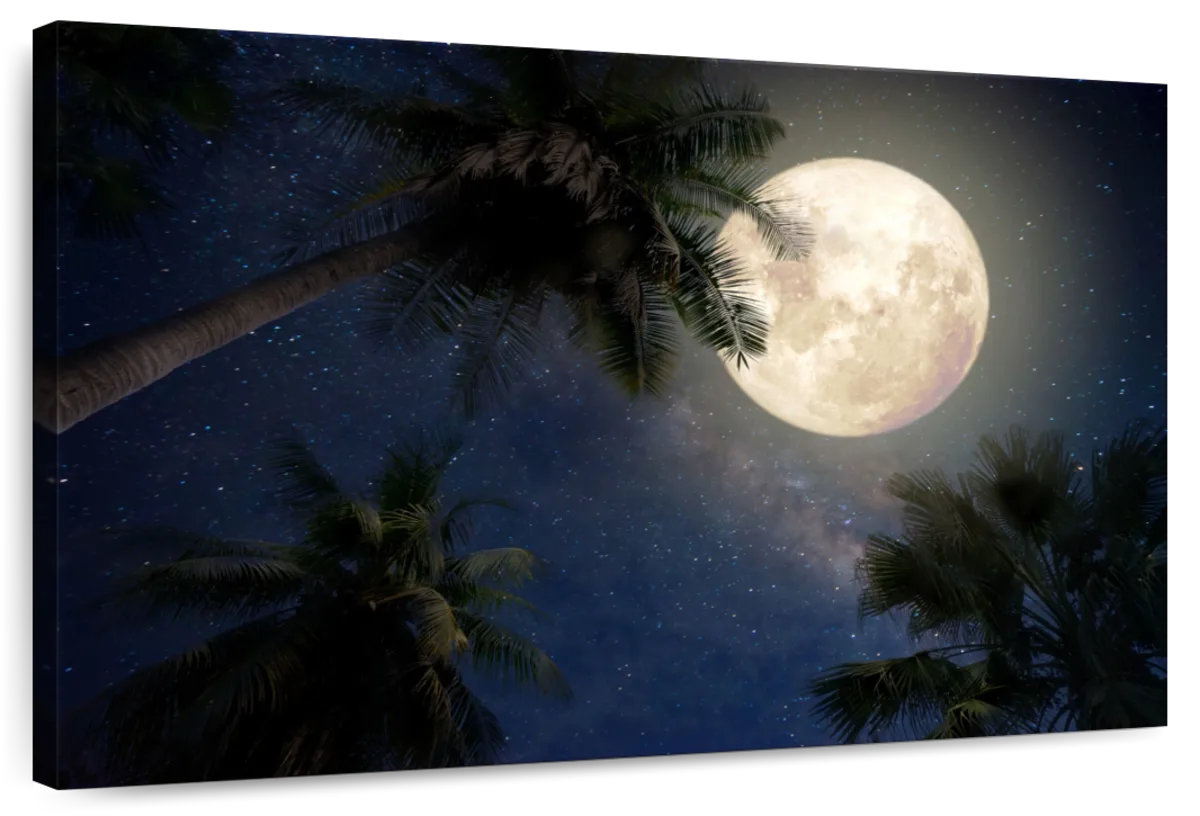Elephant Stock Tropical Moonlight | Wayfair
