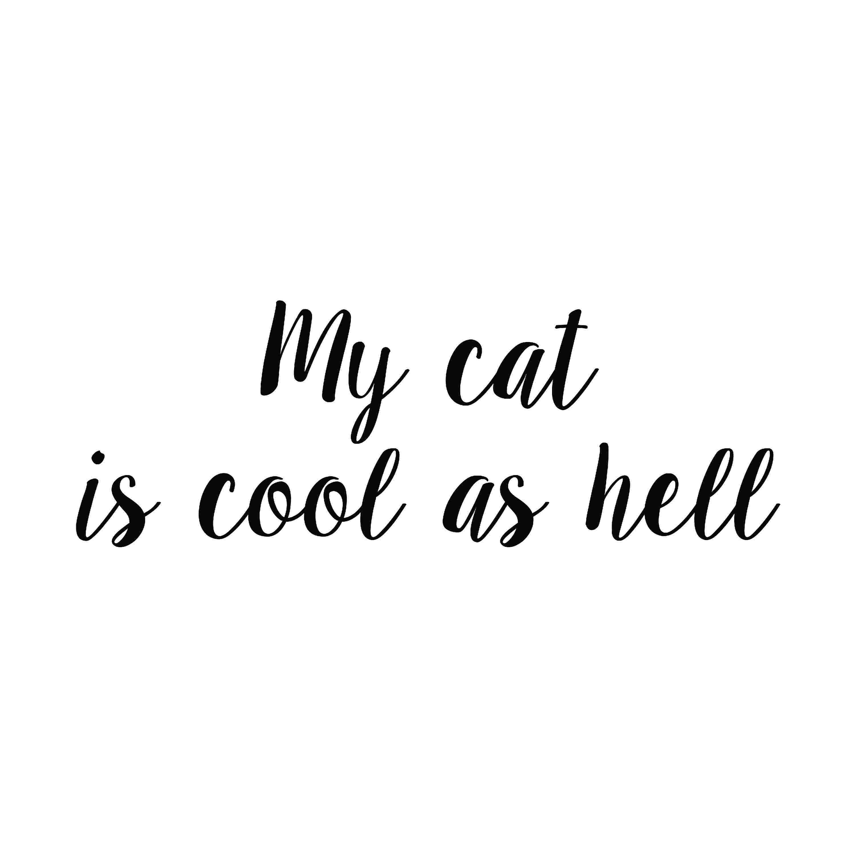 Trinx Cool As Hell - Wrapped Canvas Textual Art | Wayfair