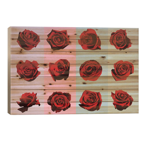 House of Hampton® " Roses II " by Alain Magallon - Wayfair Canada