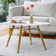 Norden Home Rylan Coffee Table & Reviews | Wayfair.co.uk