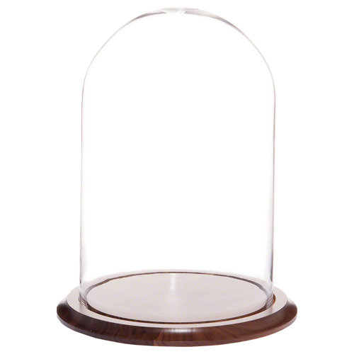 Cloche | Wayfair