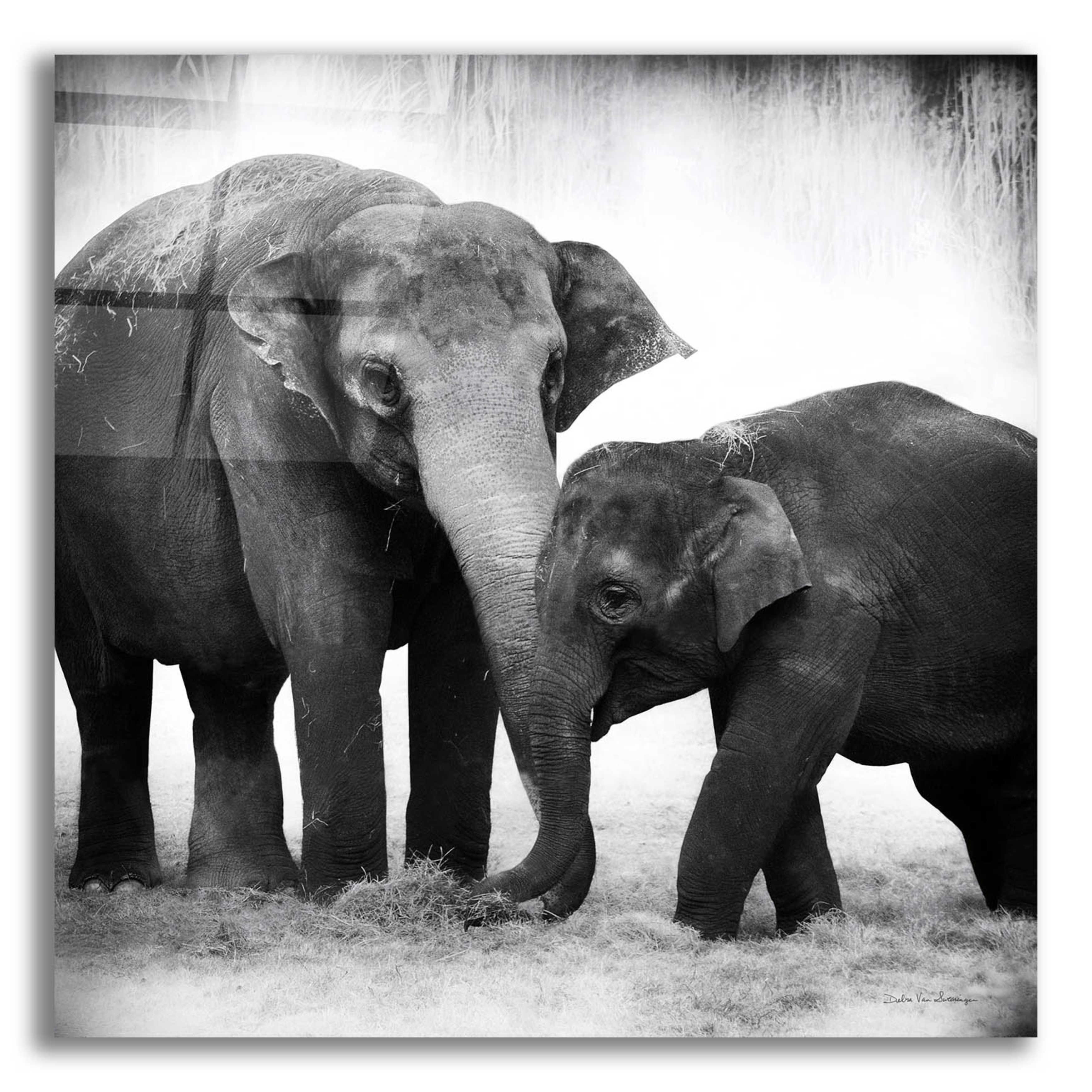 Latitude Run® ''Elephant III'' By Debra Van Swearingen, Acrylic Glass ...