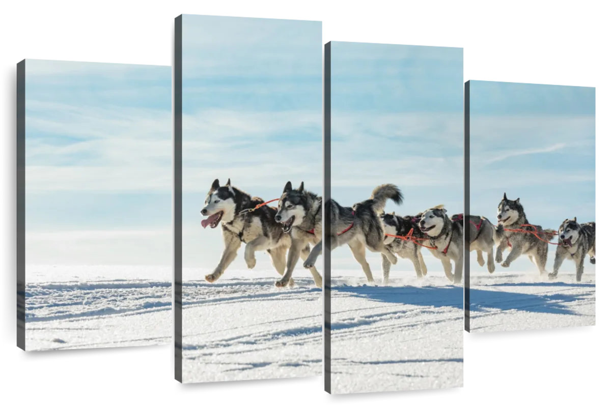 Ebern Designs Brampt Winter Husky Sled Dogs | Wayfair