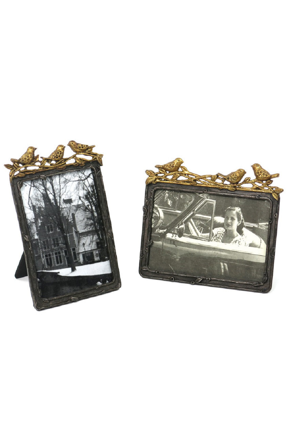 Canora Grey Sherri Pewter with Leaf Birds Picture Frame & Reviews | Wayfair