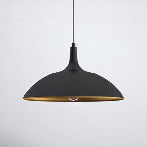 Modern Black Pendant Lighting | AllModern