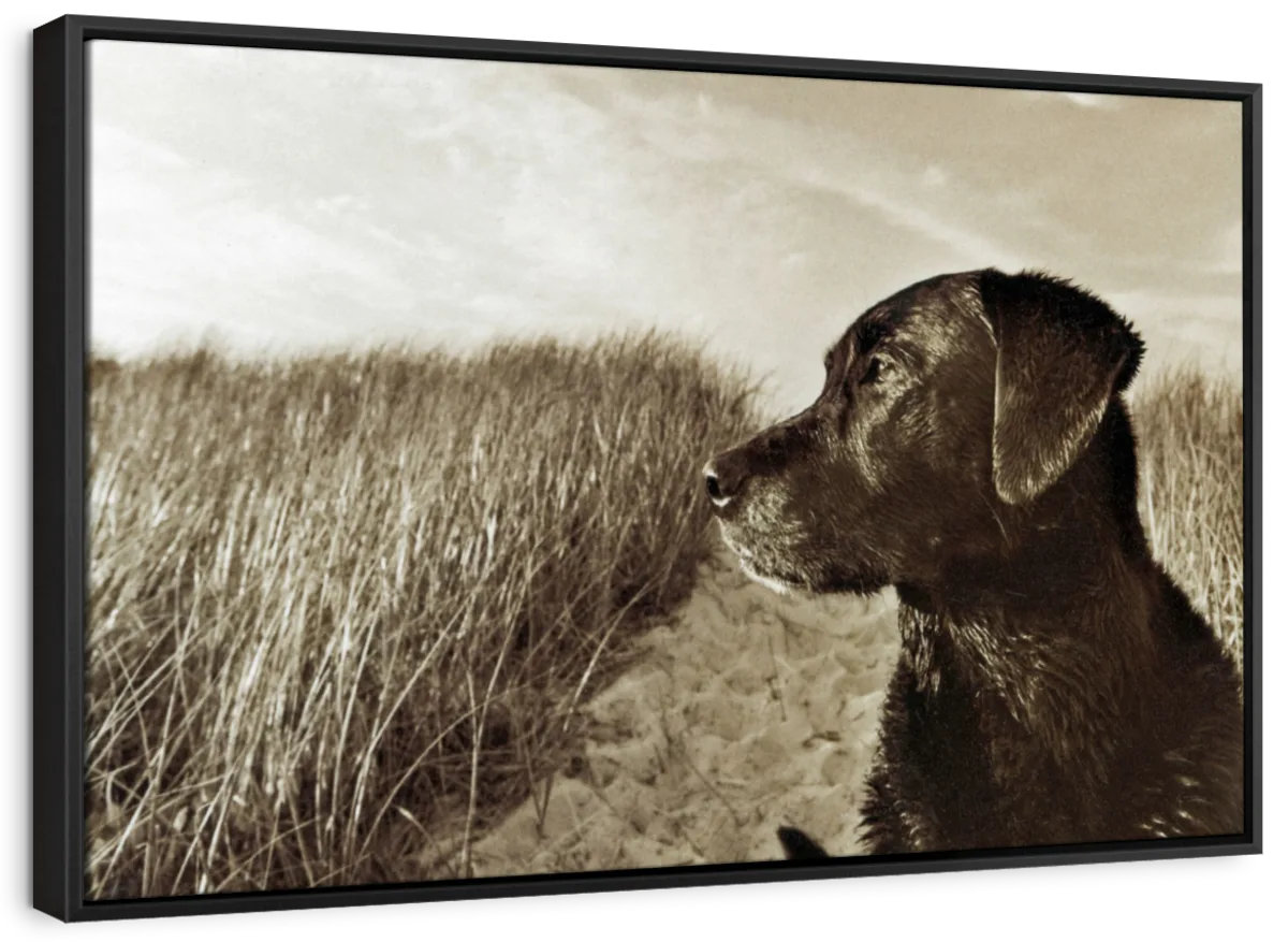 Ebern Designs Black Lab At The Beach Canvas Print | Wayfair
