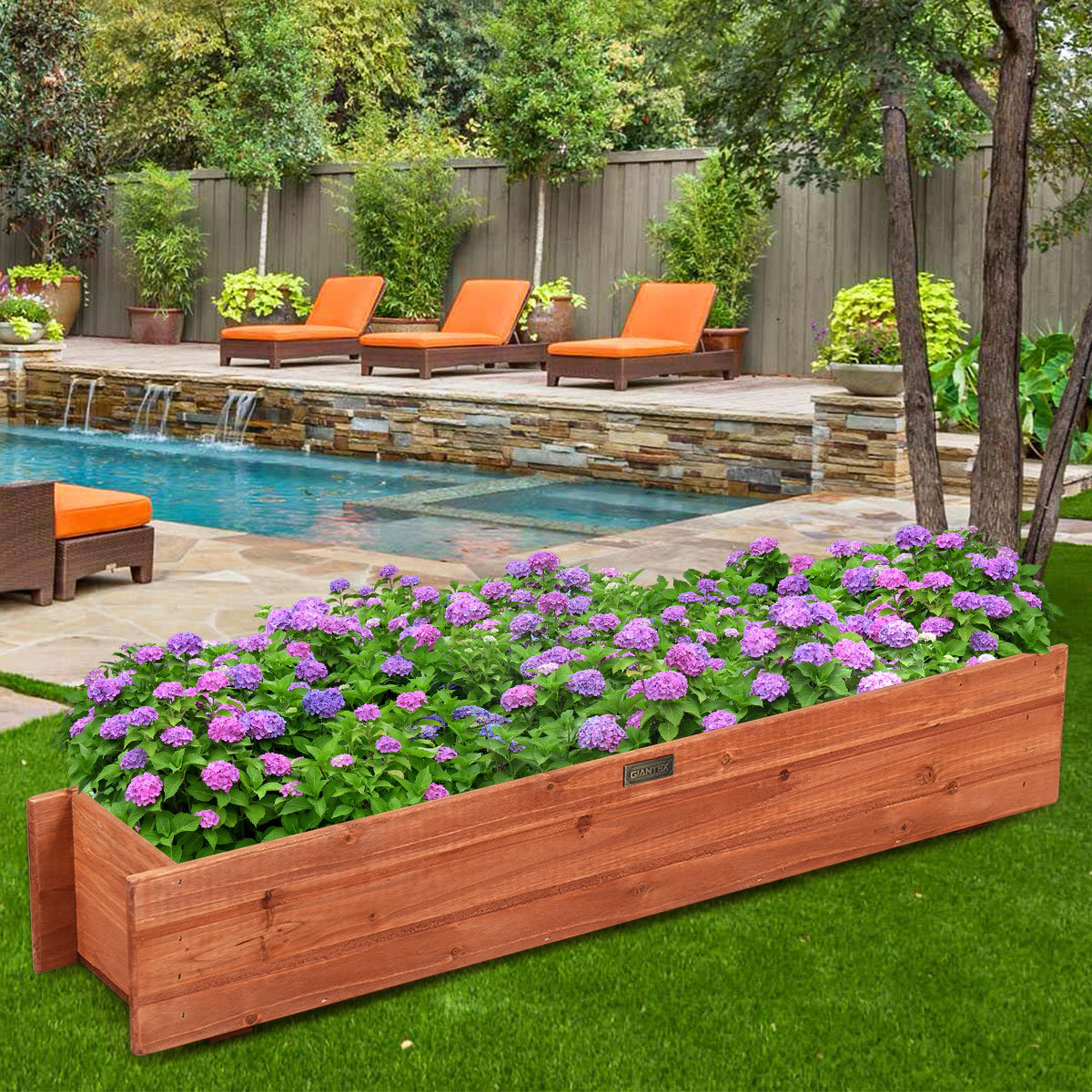 Winston Porter Beckette Fir Planter Box & Reviews - Wayfair Canada