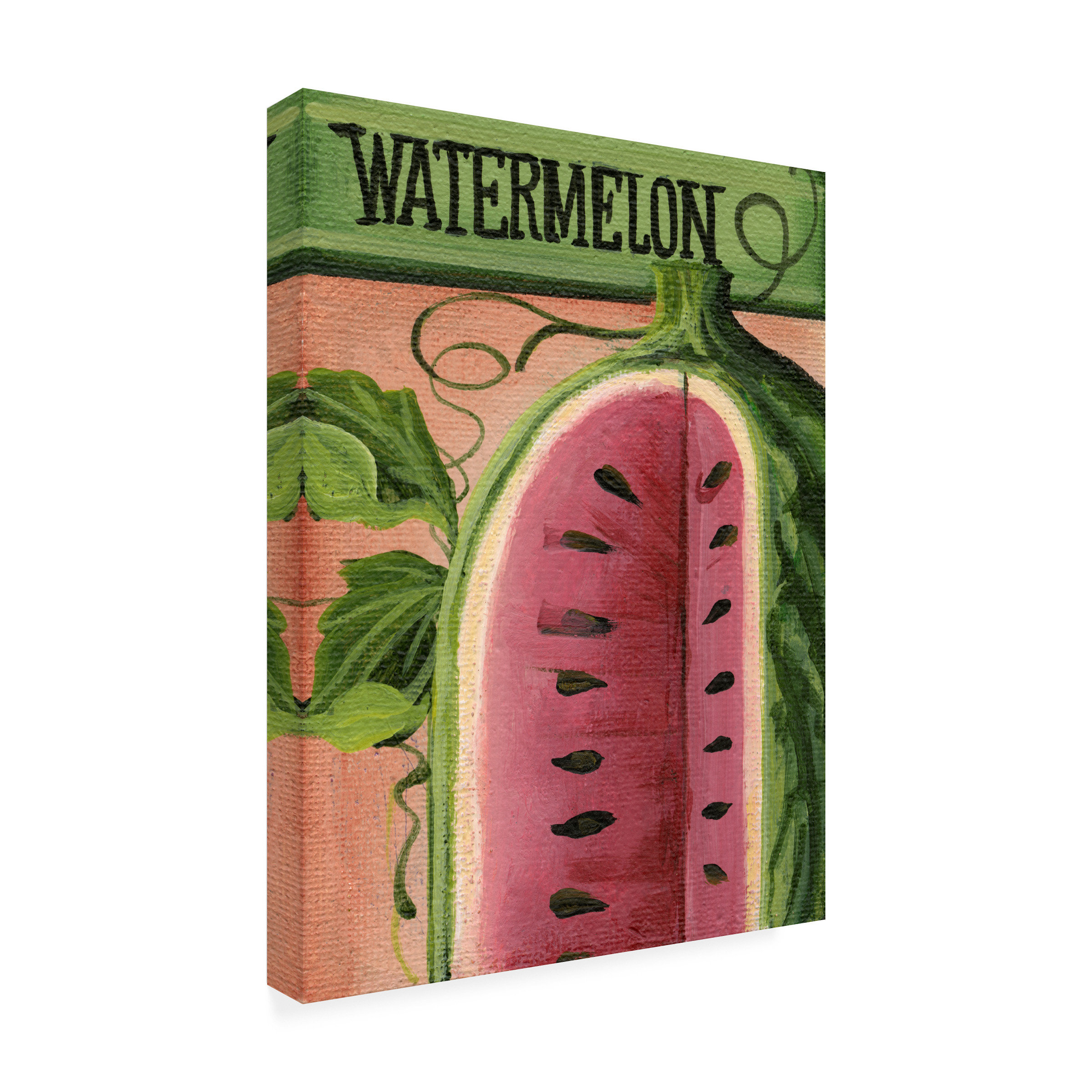 Rosalind Wheeler Debbi Wetzel Seed Packets 13 - Watermelon Canvas Art ...