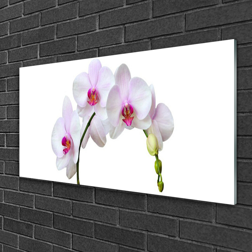 Brayden Studio Flowers Floral - Unframed Photograph on Glass | Wayfair ...