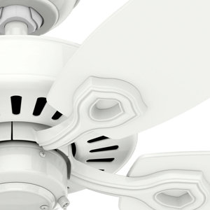 Hunter Fan 52" Builder Elite 5 - Blade Standard Ceiling Fan with Pull ...