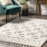 Thick Pile Area Rugs You'll Love in 2023 - Wayfair Canada