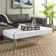 Orren Ellis Coffee Table & Reviews | Wayfair