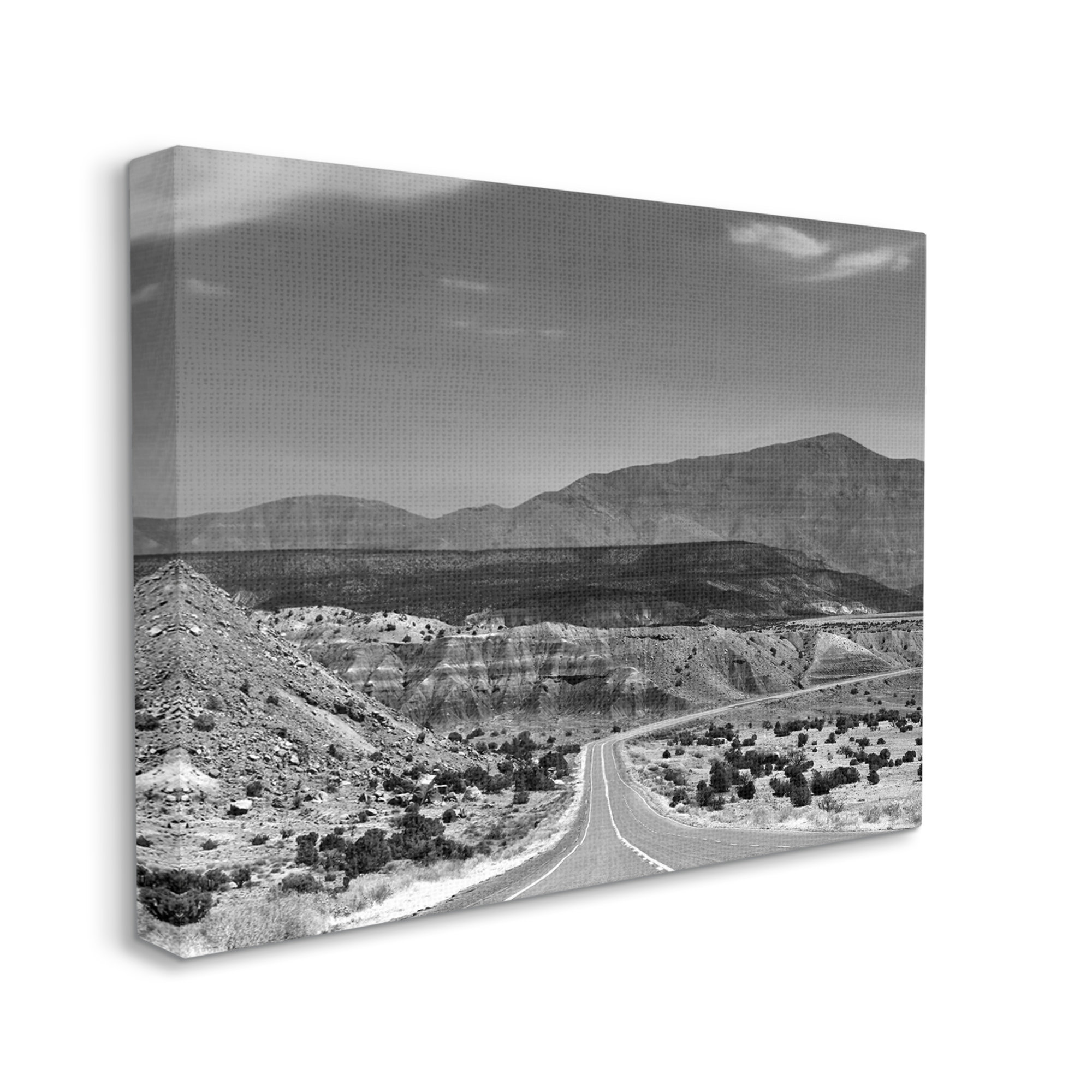 Stupell Industries Desert Canyon Road by Steve Toole | Wayfair