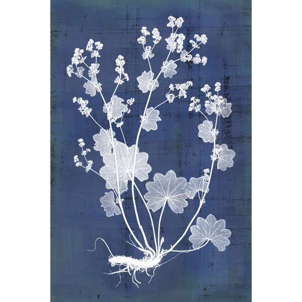 Rosalind Wheeler Natures Imprint I by Vision Studio - Wrapped Canvas ...