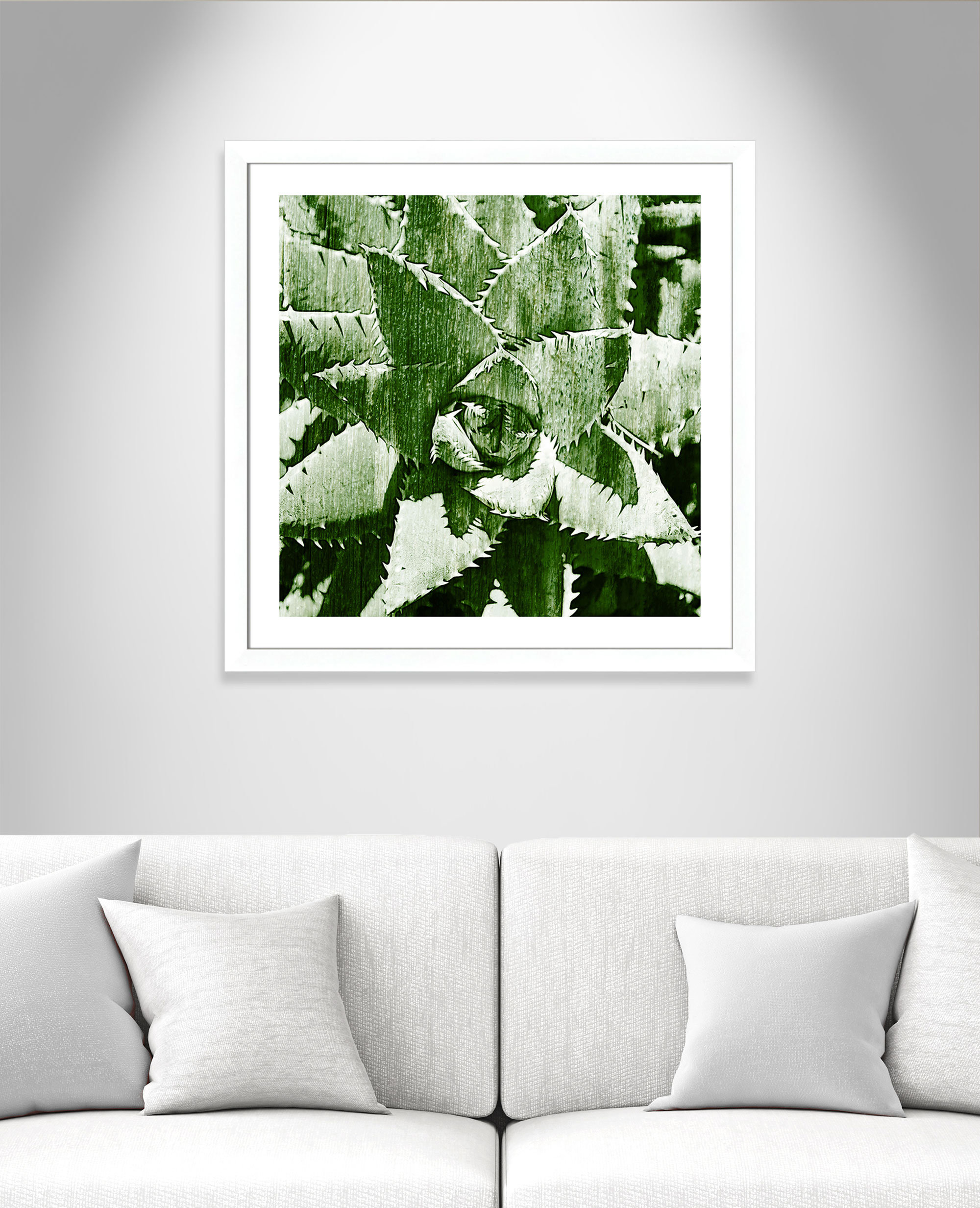 Bungalow Rose Fitzsimmons Succulent IV' Framed Graphic Art Print | Wayfair