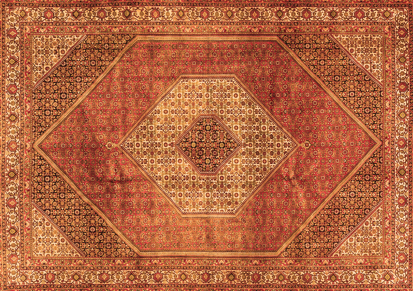Bungalow Rose Morio Oriental Machine Woven Chenille Area Rug in Orange ...