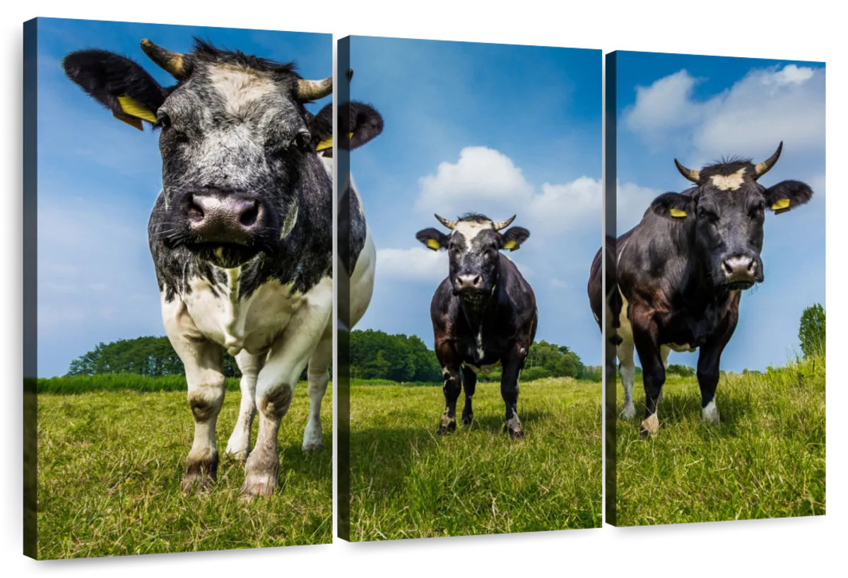 Ebern Designs Brampt Cow Gang | Wayfair