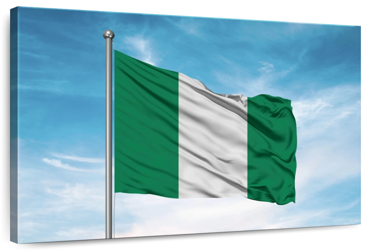Latitude Run® Hoisted Nigerian Flag | Wayfair