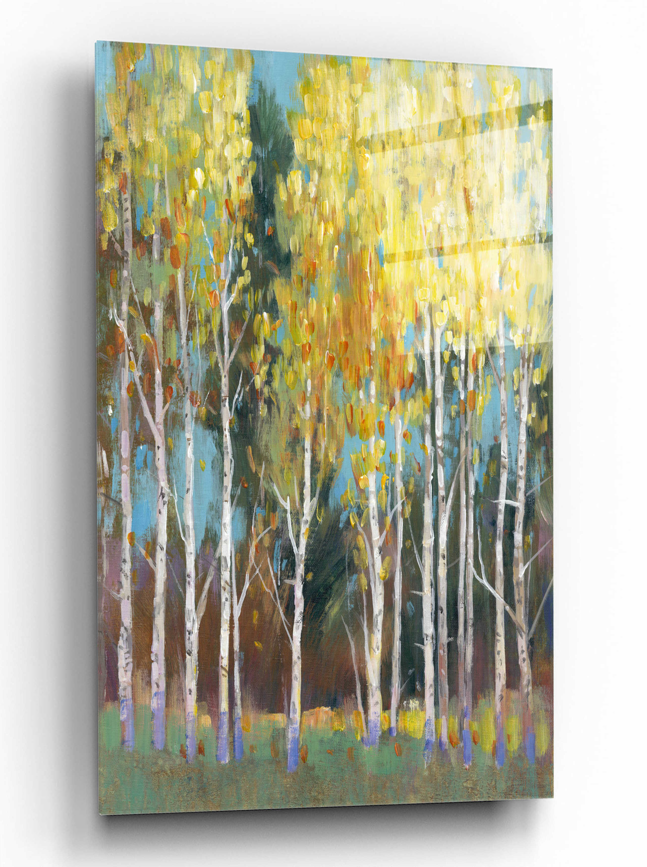 Millwood Pines 'Aspen Grove II' by Tim O'Toole, Acrylic Glass | Wayfair