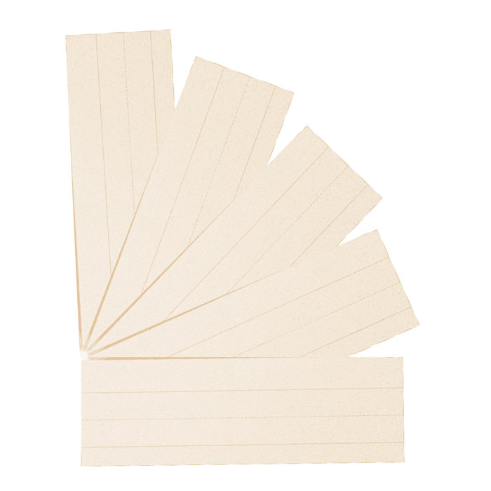 Pacon Creative Products Blank Flash Cards | Wayfair