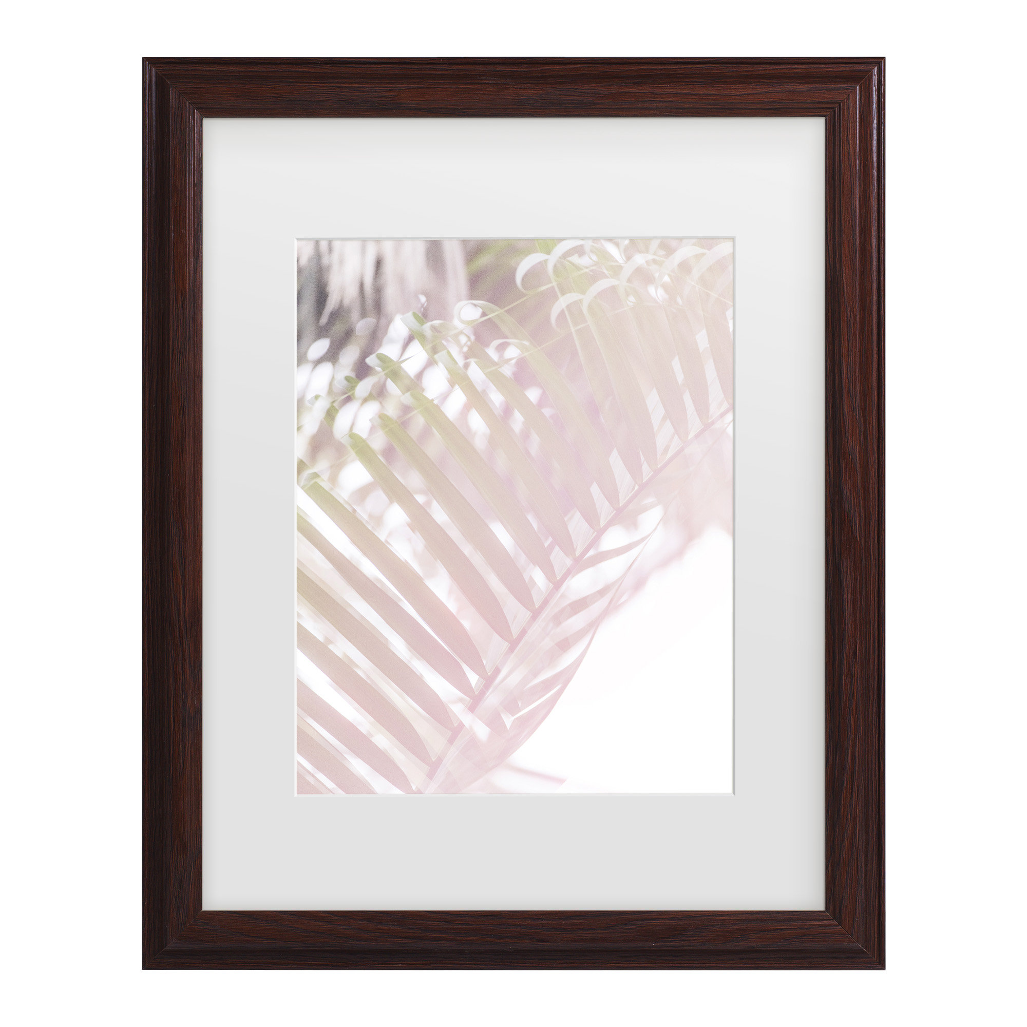 Ebern Designs Bolog Lynann Colligan Tropical Foliage No 2 Matted Framed ...